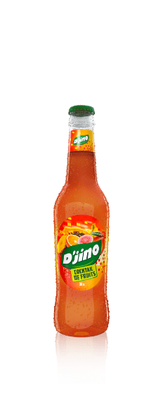 Tchad | Castel Afrique